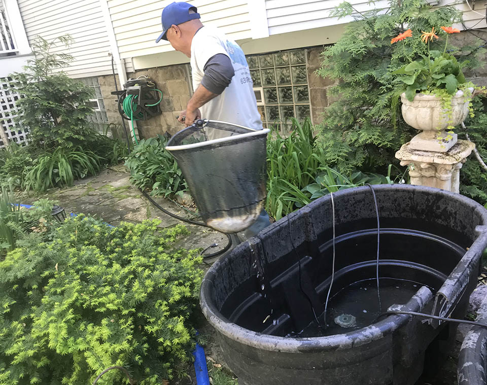 Pond Cleaning | Downers Grove | Dupage County | Illinois