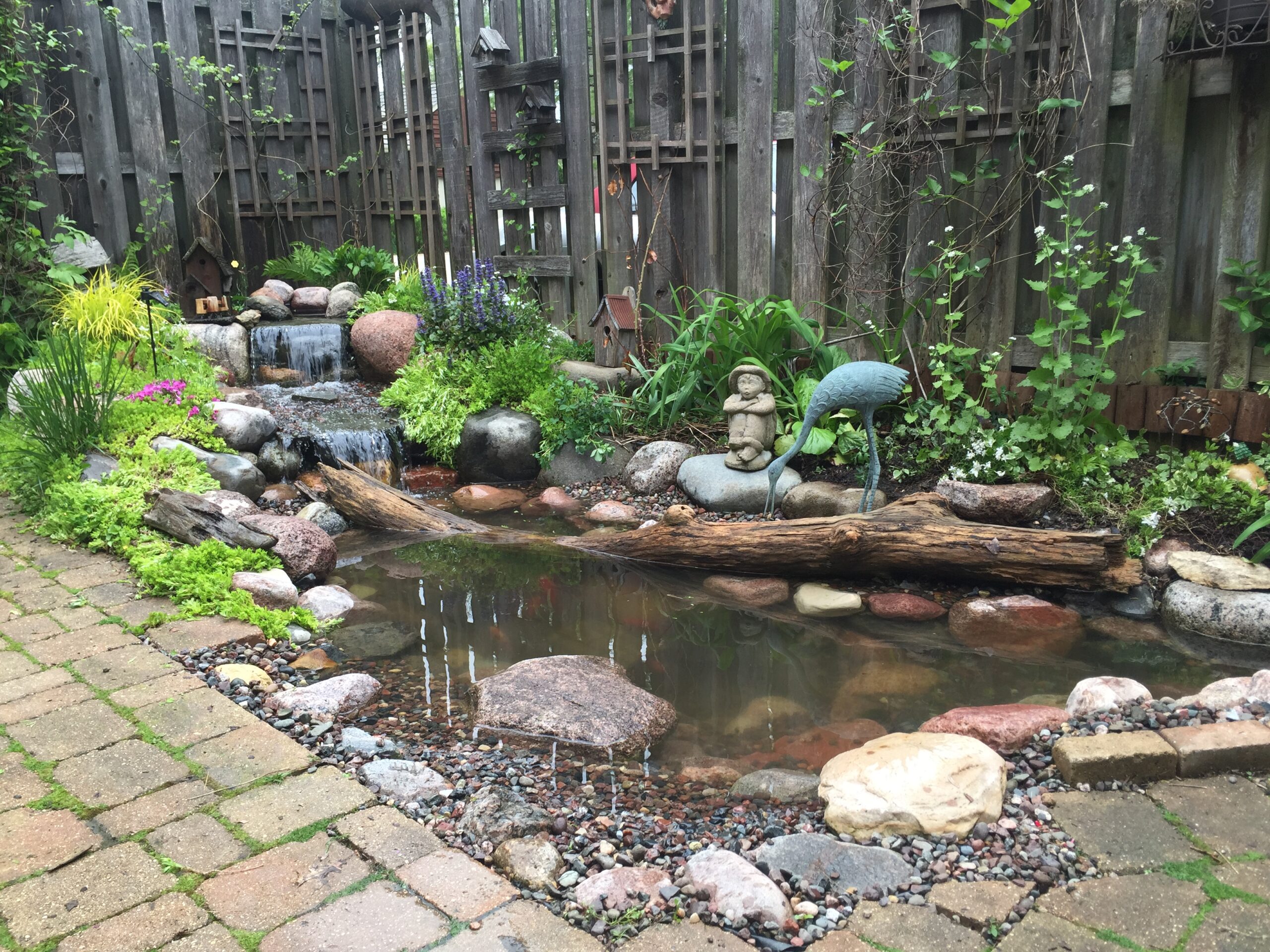 6x8 Ecosystem Pond | Downers Grove | Dupage County | Illinois