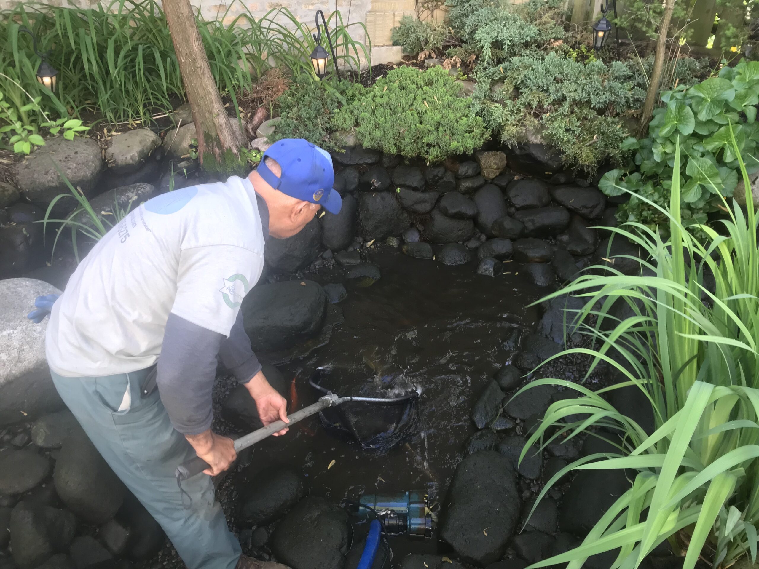 Spring Cleanout | Downers Grove | Dupage County | Illinois